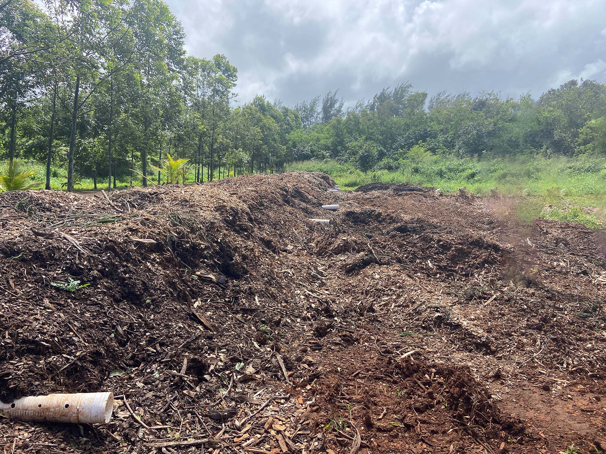 Compost-in-Place System | Farmer Learning