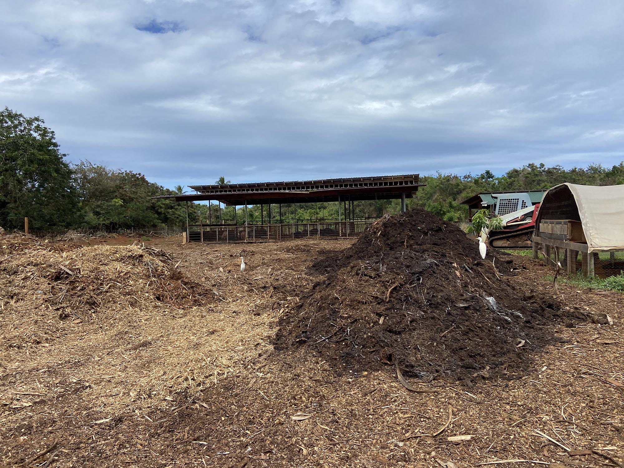 Compost-in-Place System | Farmer Learning